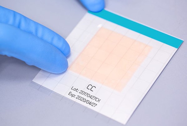 MEDIA PAD (MERCK) - Rapid Microbial Count Plates | Phương Thành